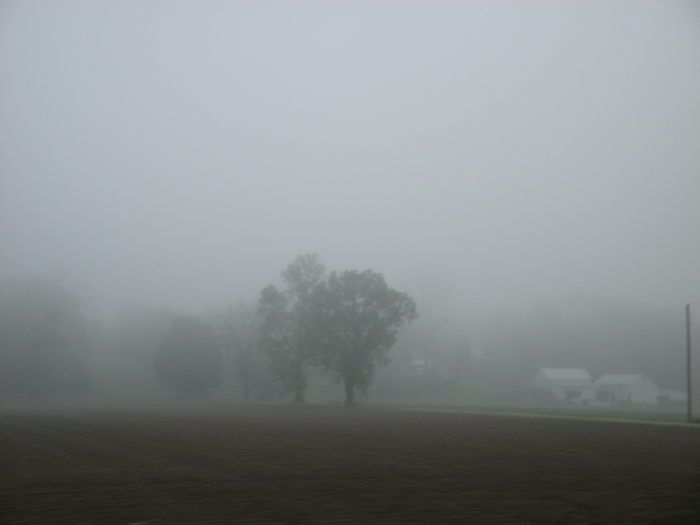 How to Cope When You Feel Disconnected – Paths I Walk